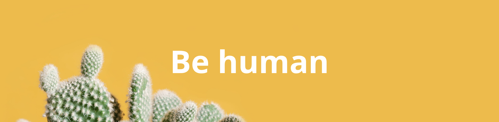 Build vulnerability, it’s easier than you think | Hive Learning